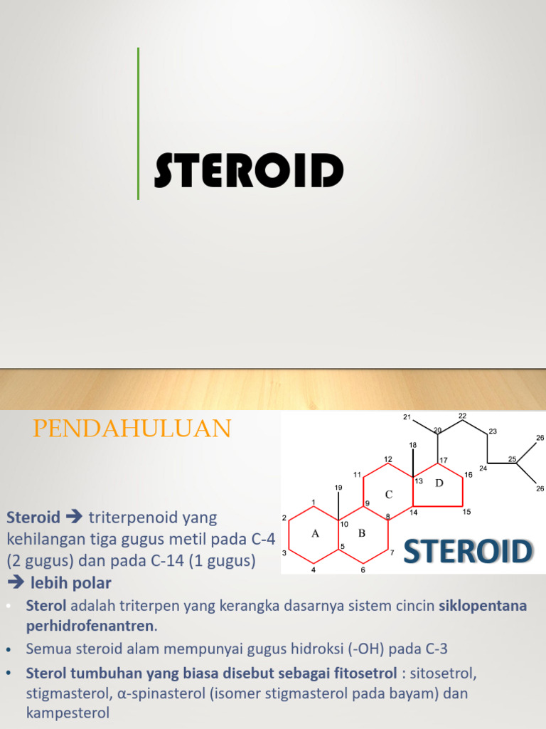 Steroid | PDF
