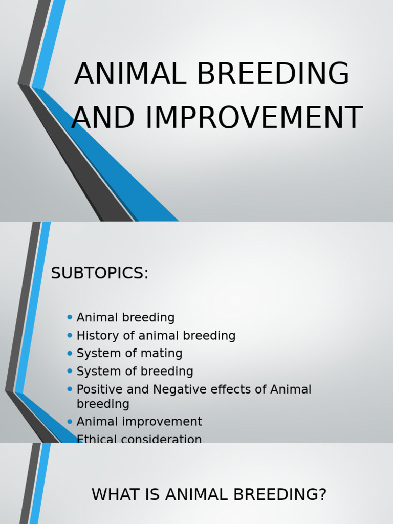 Animal Breeding | PDF | Selective Breeding | Plant Breeding