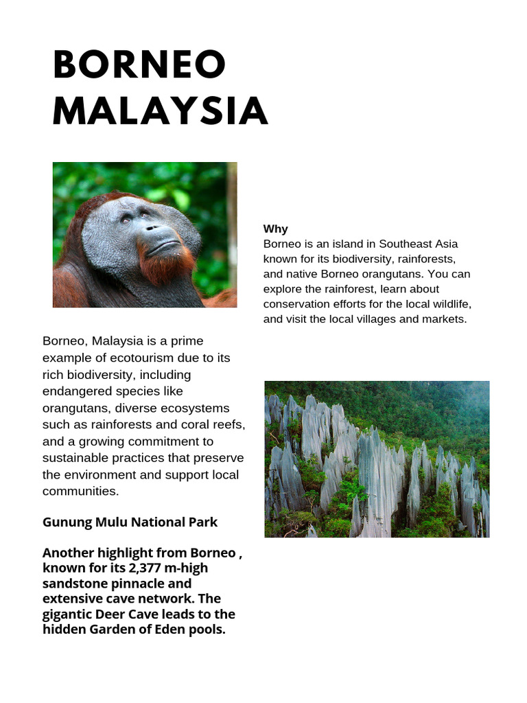 Borneo | PDF