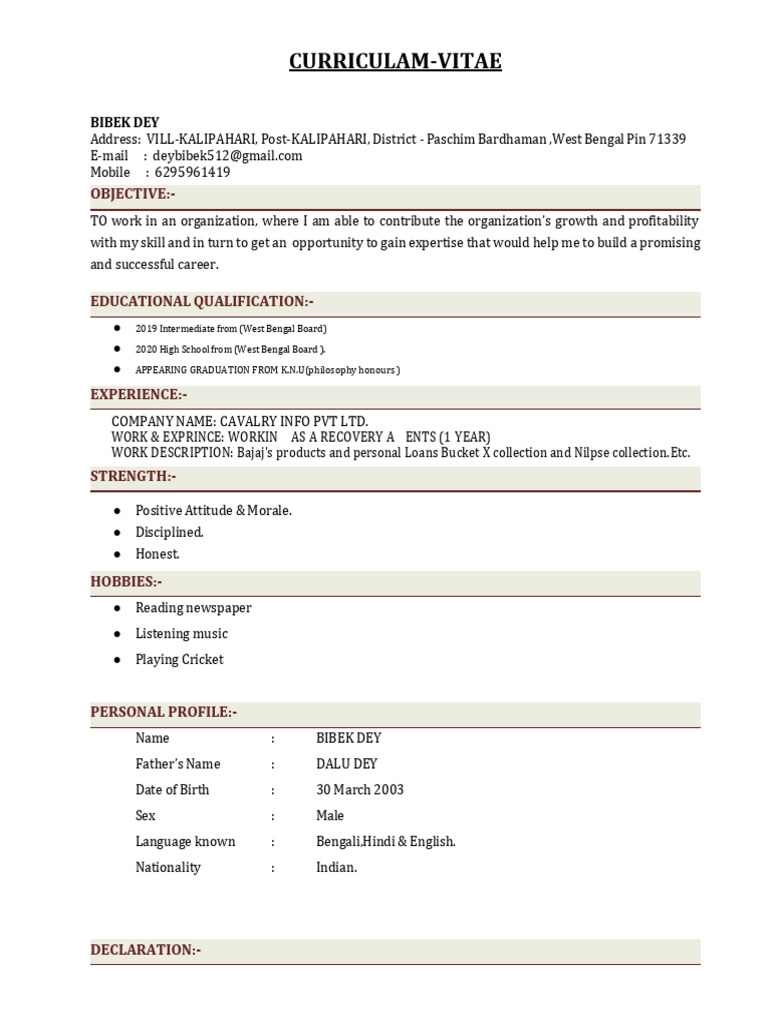 Bibek Dey CV | PDF