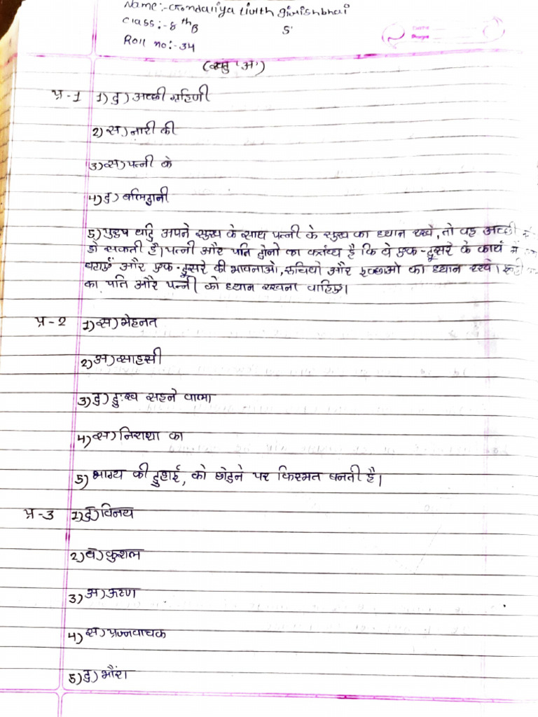 Hindi Project | PDF
