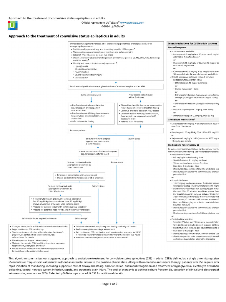 Approach To The Treatment of Convulsive Status Epilepticus in Adults ...
