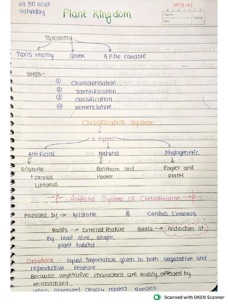 Plant Kingdom Handwritten Notes Yakeen 2 0 2024 L | PDF
