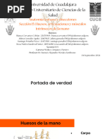 Anatomía de las Falanges de la Mano | PDF | Mano | Articulación