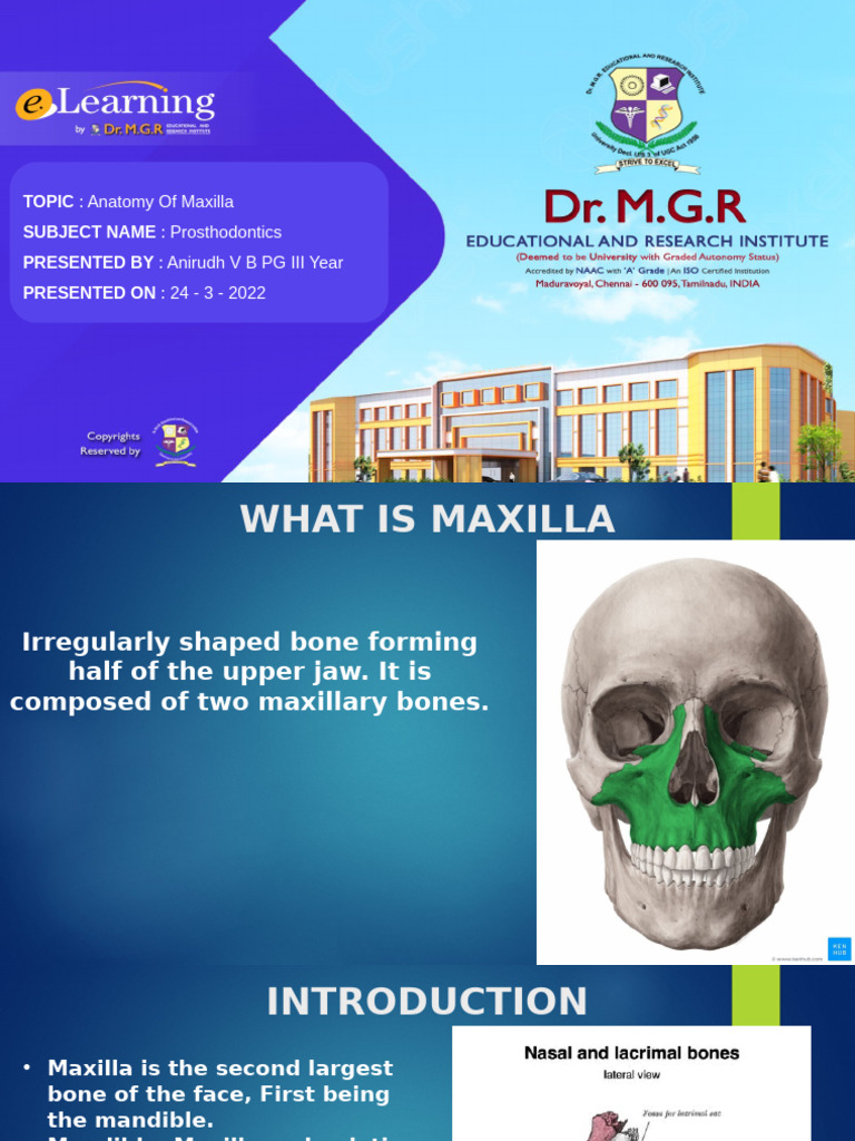 Anatomy of the Maxilla in Prosthodontics | PDF | Human Nose | Human Anatomy