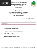 Reflejos Bainbridge 1 | PDF | Corazón | Nervio vago