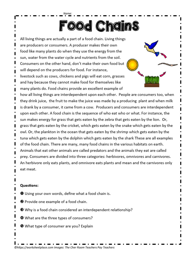 Food Chain Comprehension Passage | PDF | Science & Mathematics