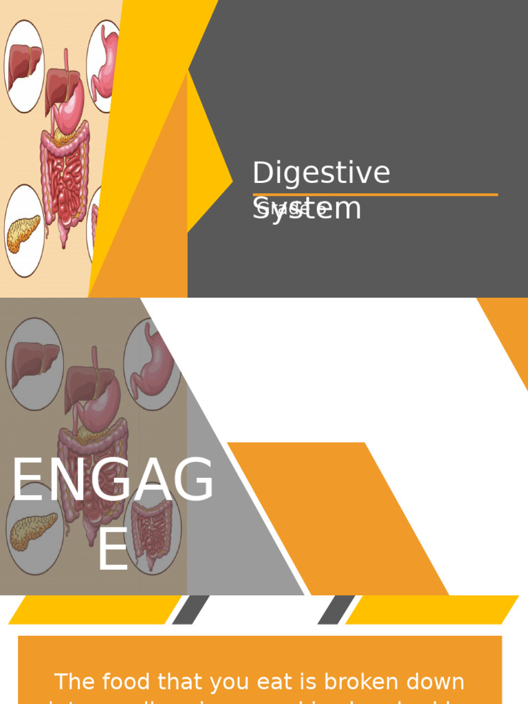 Grade 6 - Digestive System | PDF | Digestion | Gastrointestinal Tract