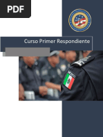 IPH-ficha descriptiva_hpd_ 2025 | PDF