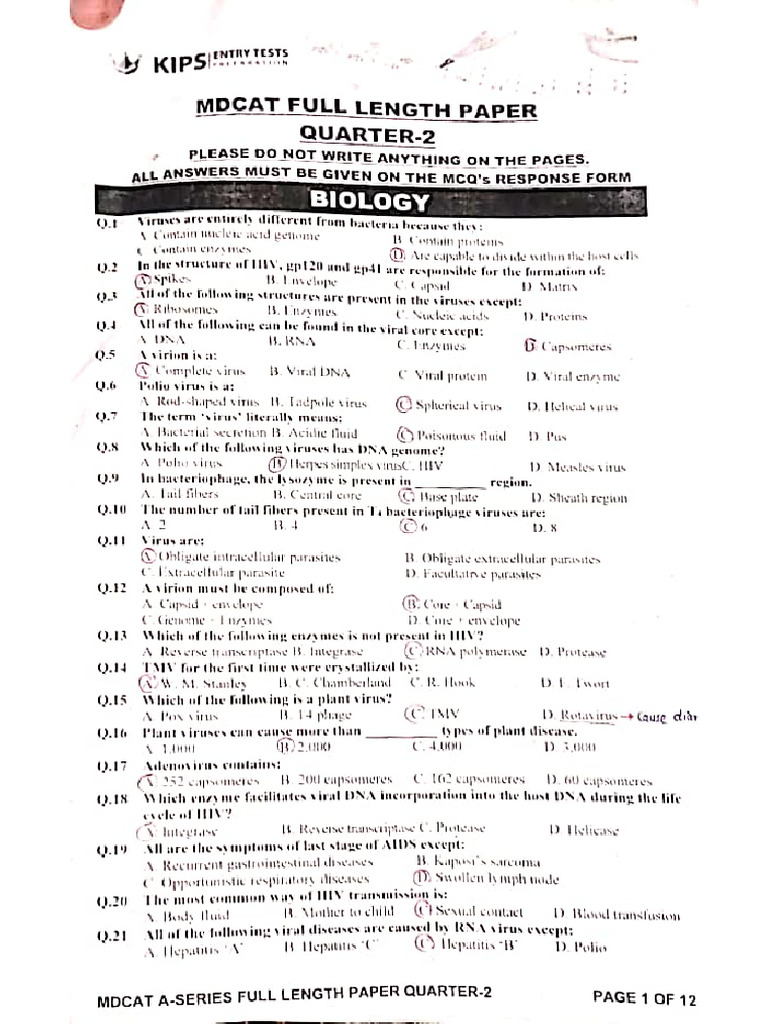 Kips Quarter 2 | PDF