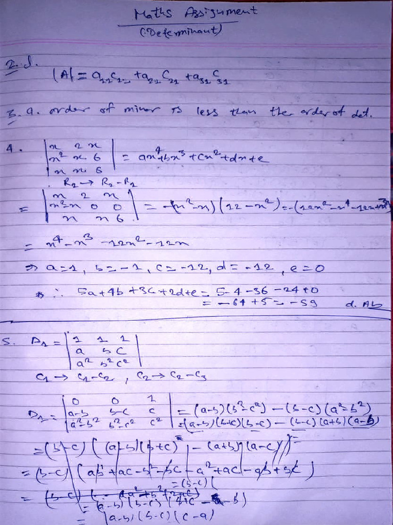 Maths Assignment (Determinant) | PDF