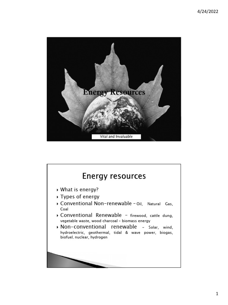 03 (2) EVS Natural Resources | PDF | Renewable Energy | Photovoltaics