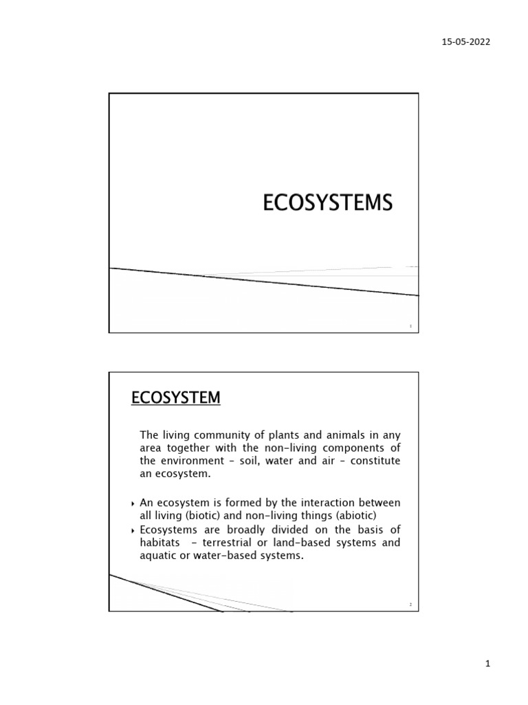 04 Ecosystems | PDF | Food Web | Ecosystem