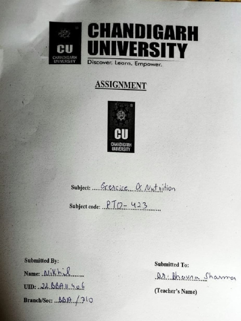 Nikhil Assignment 3 Online | PDF