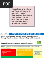 Video Recap of Osmosis by Amoeba Sisters Answer Set | PDF | Osmosis ...