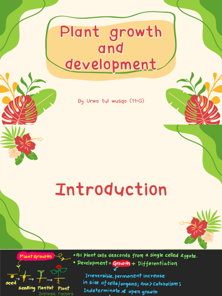 Plant Growth Phases and Factors | PDF