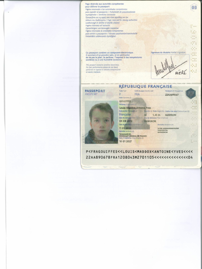 Passeport Gouiffes Louis | PDF