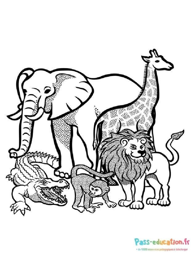 Coloriage Animaux Sauvages 21 PDF Gratuit A Imprimer | PDF