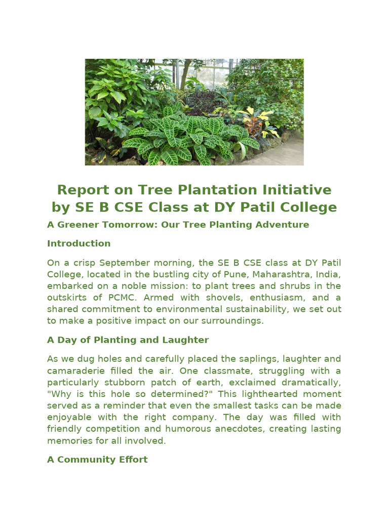 DY Patil Tree Plantation Initiative Report | PDF | Science & Mathematics