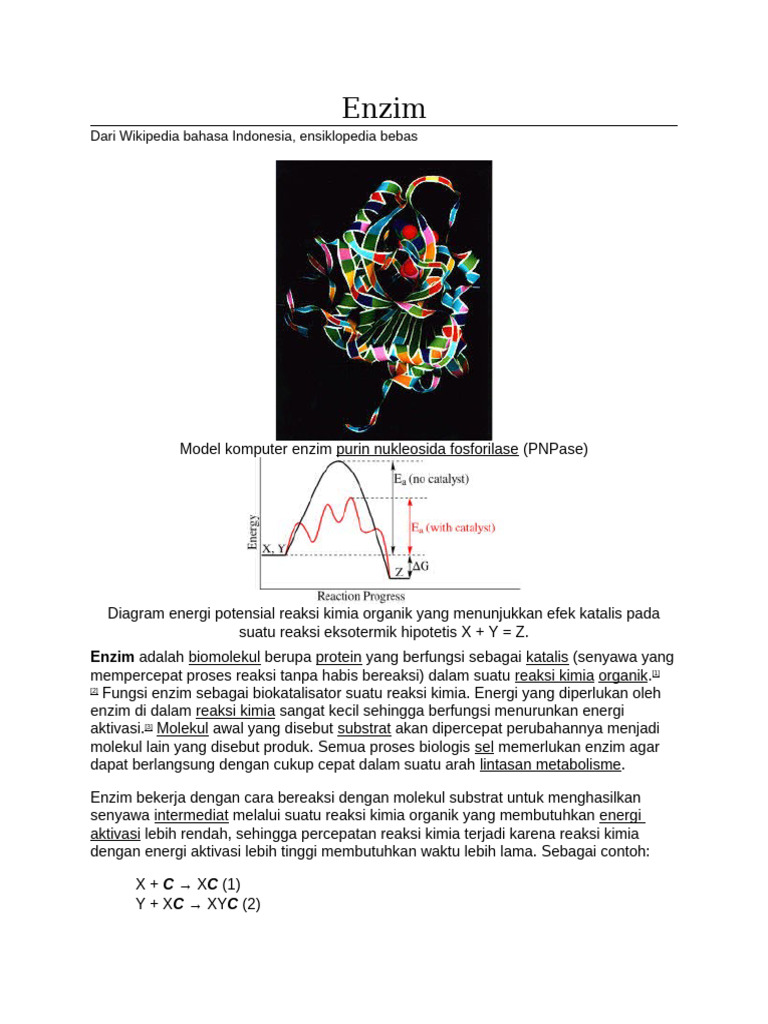Enzim | PDF