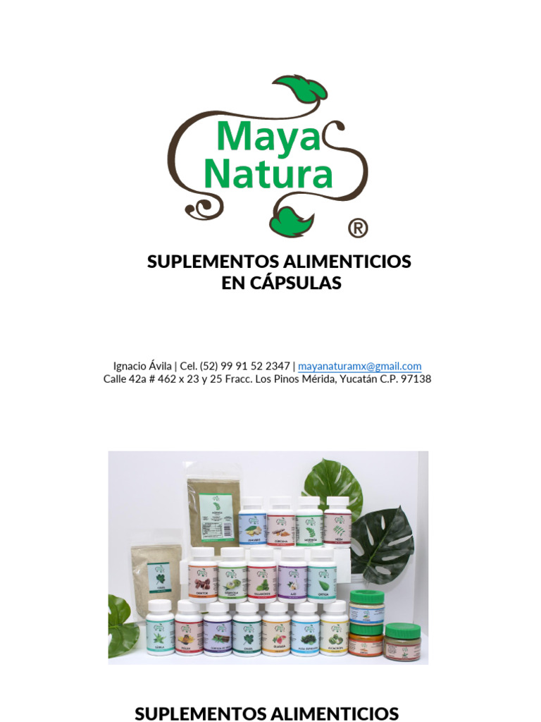 Ignacio Trejo 22 | PDF | Riñón | Hígado