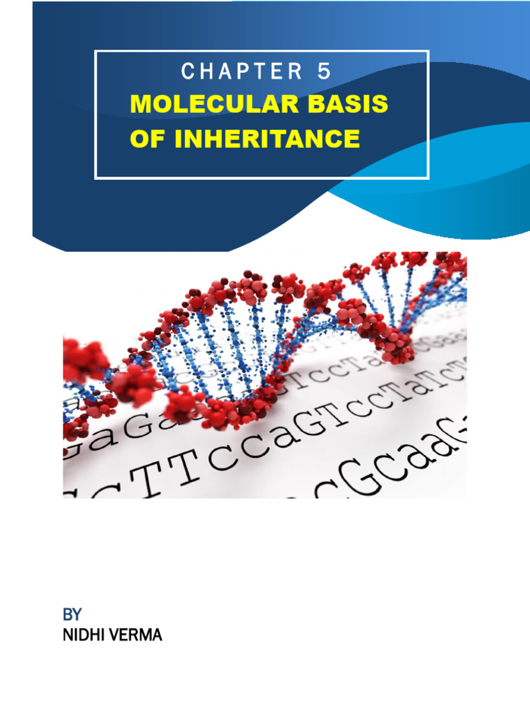 Molecular Basis of Inheritance Explained | PDF | Operon | Translation ...