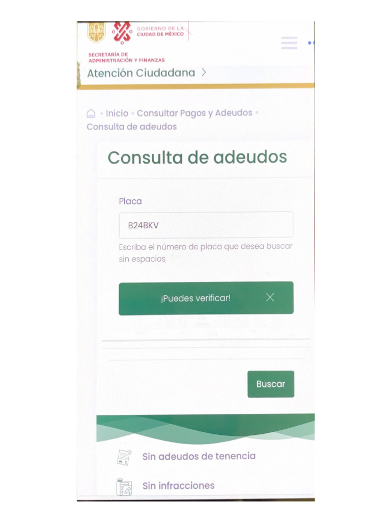 Consulta de Adeudos | PDF