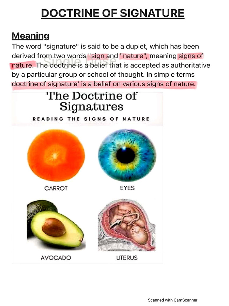 25 Doctrine of Signature Hom. Pharmacy | PDF