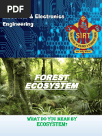 Types and Importance of Forest Ecosystems | PDF | Forests | Trees