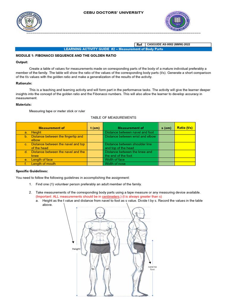 Golden Ratio Activity - Body Measurements 2022 | PDF | Measurement | Length