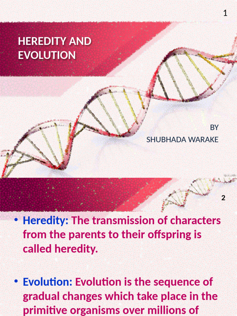 HEREDITY | PDF | Heredity | Gene