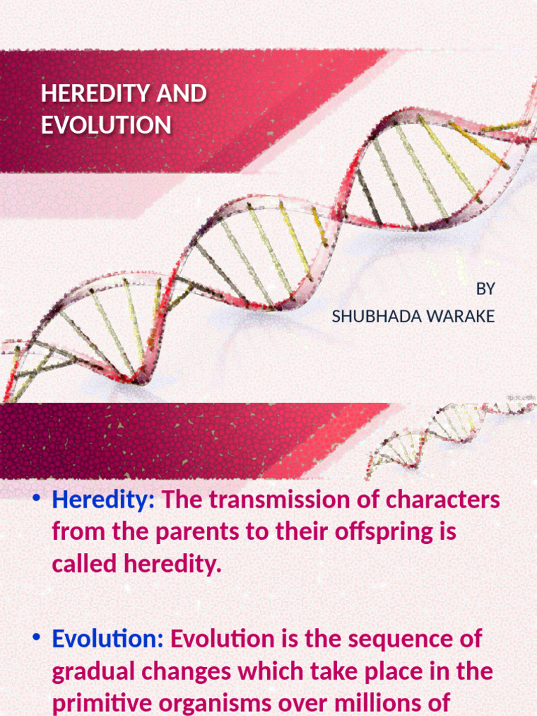 Heredity and Evolution | PDF | Heredity | Gene