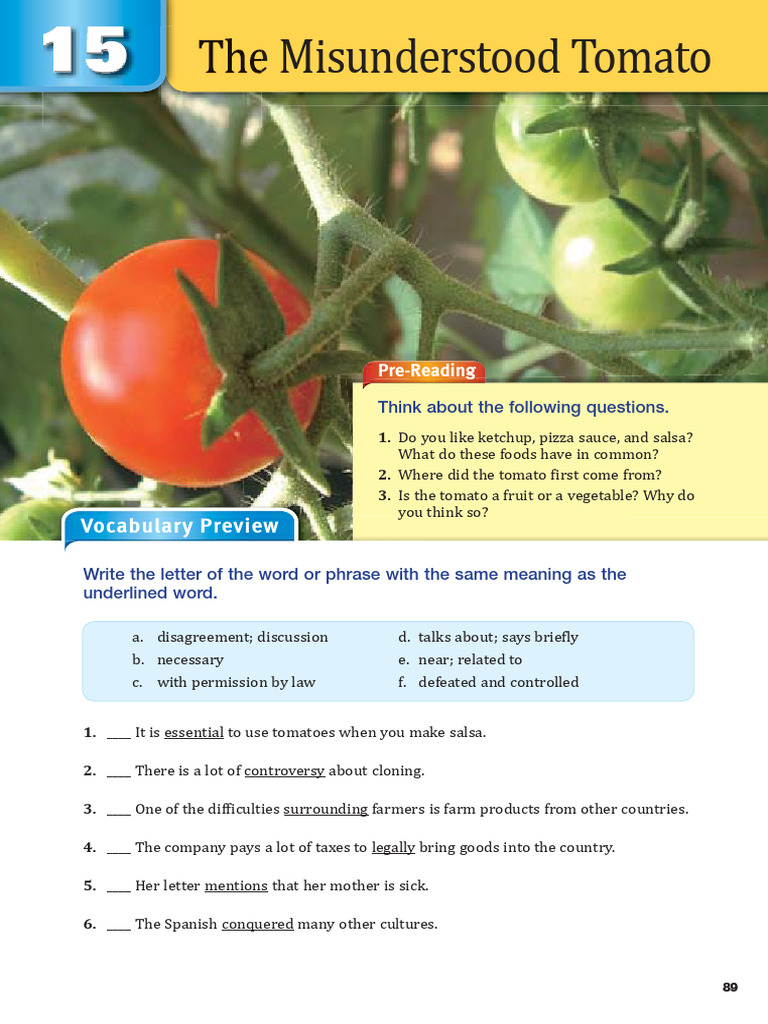 The Misunderstood Tomato | PDF | Tomato | Vegetables