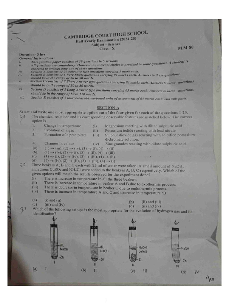 Q. Paper - CCHS | PDF