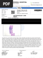 Constipation CHEO Handout | PDF | Constipation | Human Feces