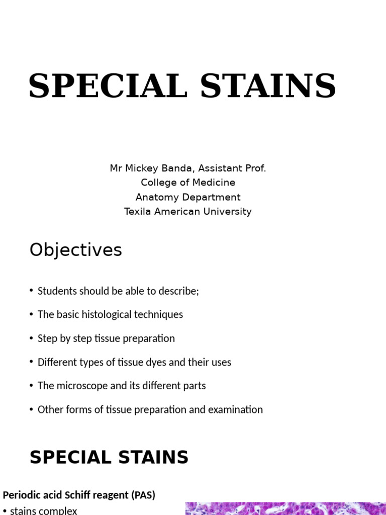 2. Special stains | PDF | Staining | Microscopy