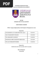Proton Organizational Structure Overview | PDF | Business Economics ...