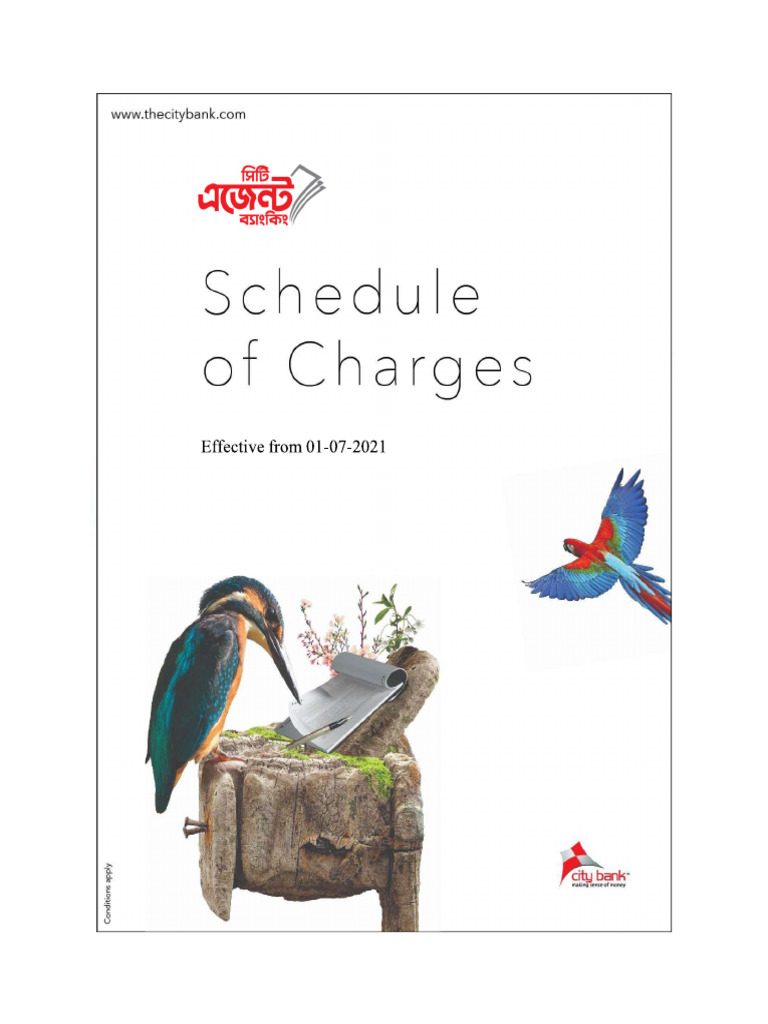 SOC Agent Banking300621 | PDF | Business