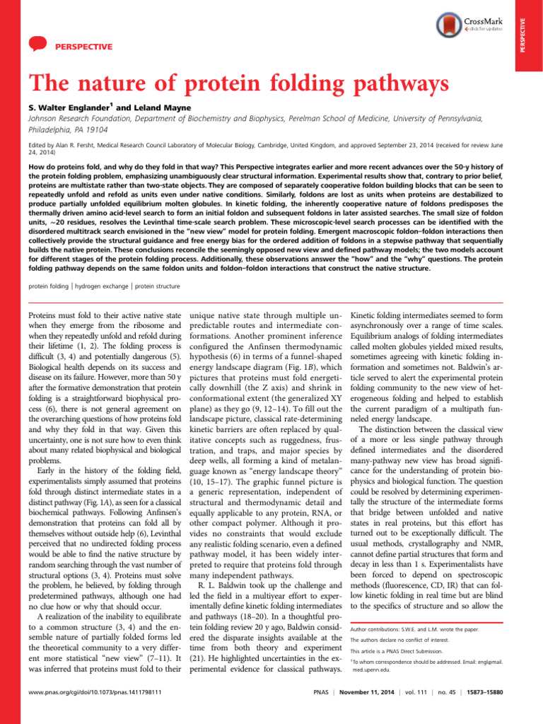 Englander Mayne 2014 The Nature of Protein Folding Pathways | PDF ...