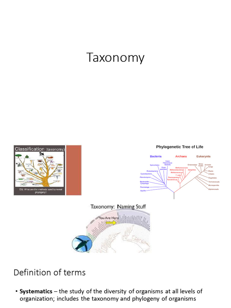 Understanding Taxonomy and Organism Classification | PDF | Taxonomy ...