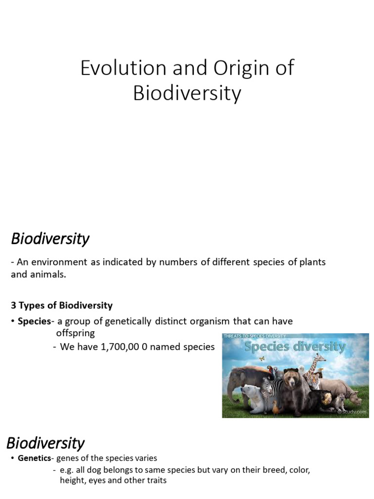 Evolution and Biodiversity Overview | PDF | Evolution | Species