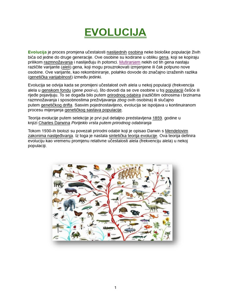 EVOLUCIJA | PDF