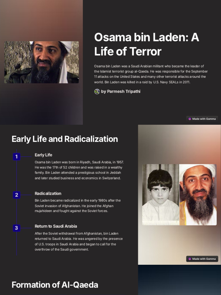 Osama bin Laden: Terrorism's Impact | PDF | Al Qaeda | World Politics