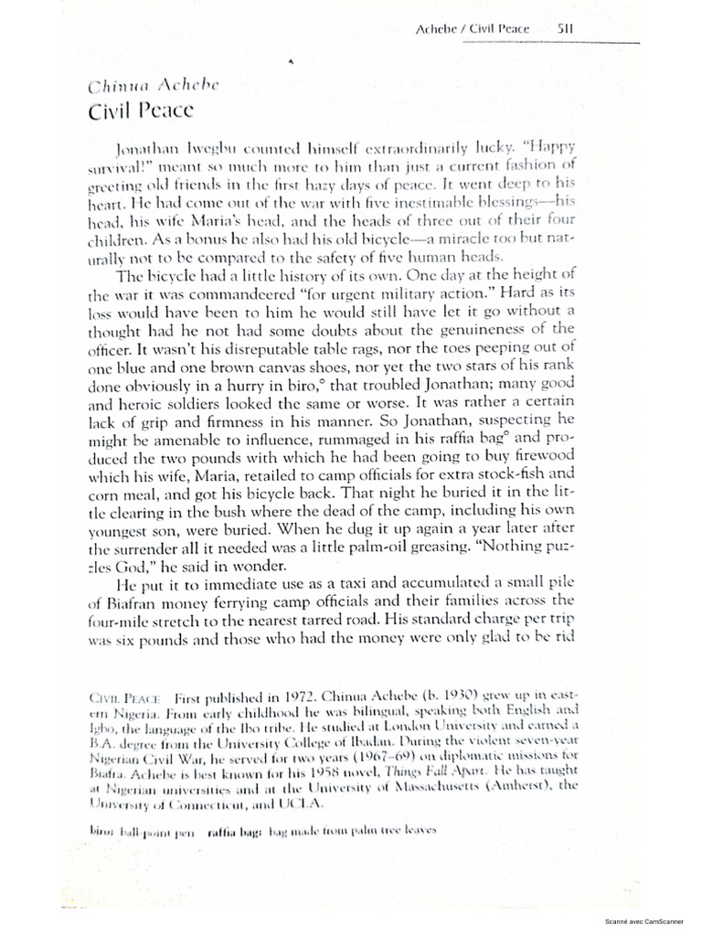 Civil Peace and Questions | PDF | Games & Activities