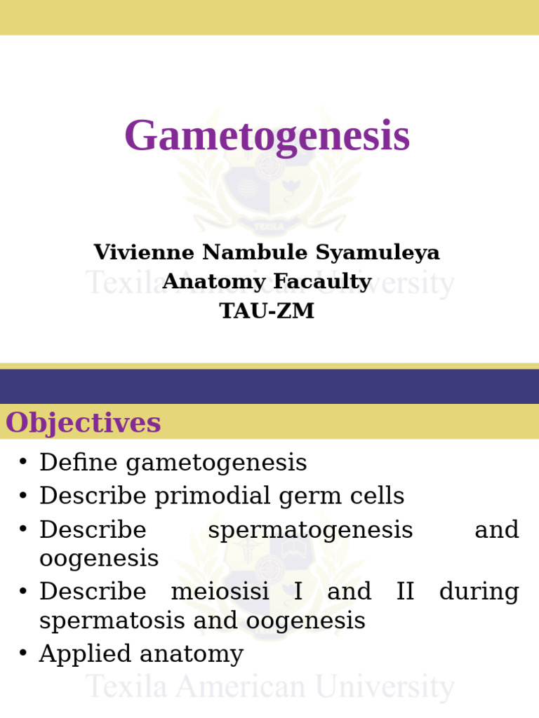 1 LS # 45 Embryology - Gametogenesis | PDF | Meiosis | Anatomy