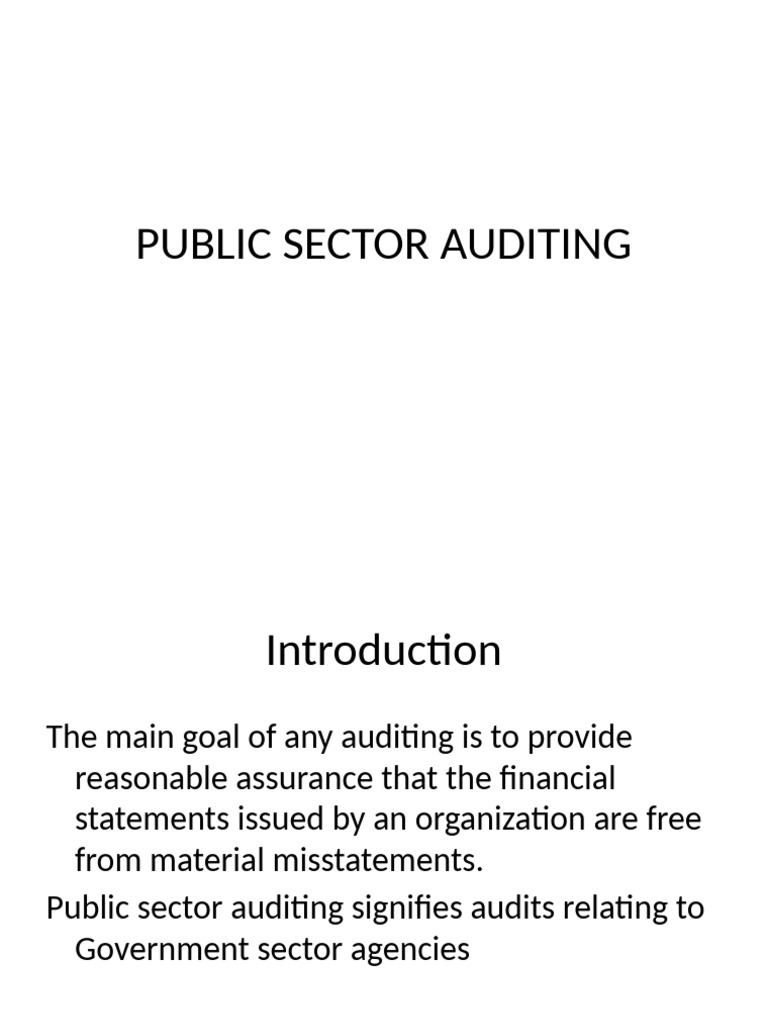 Overview of Public Sector Auditing | PDF | Audit | Internal Audit