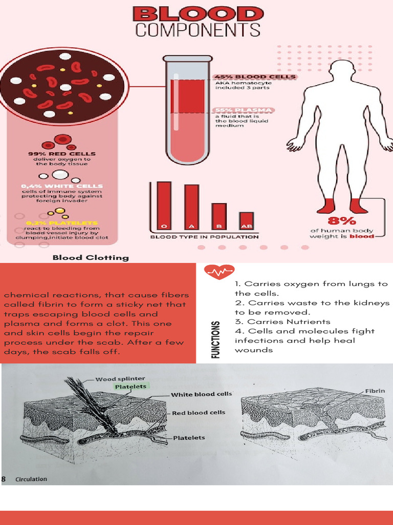 Red and White Blood Donation Infographic | PDF | Science & Mathematics