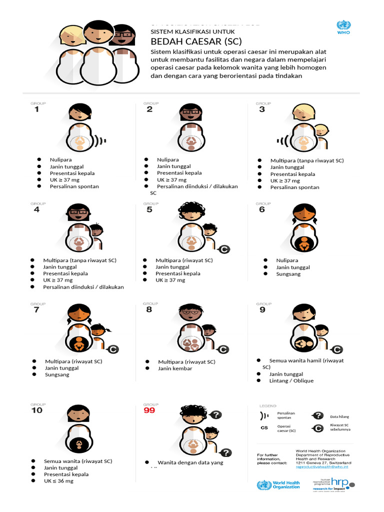 Klasifikasi Robson | PDF
