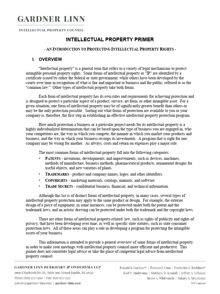 Intellectual Property Primer | PDF | Patent | Patent Application