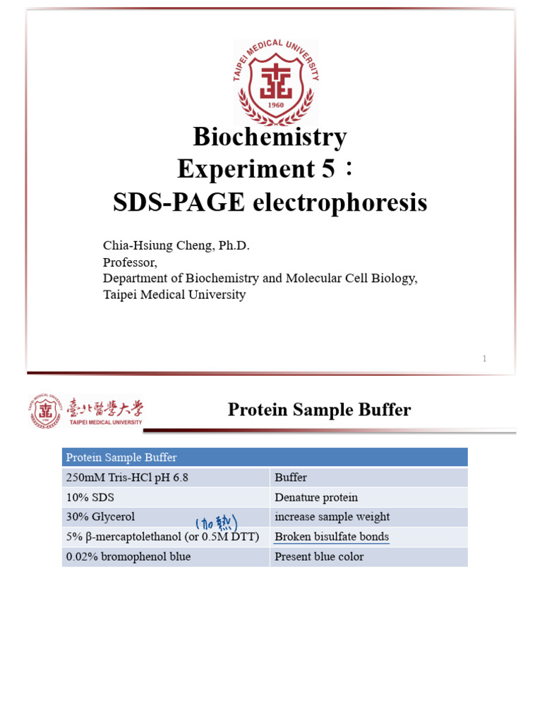 SDS-PAGE Electrophoresis Protocol | PDF | Gel Electrophoresis ...